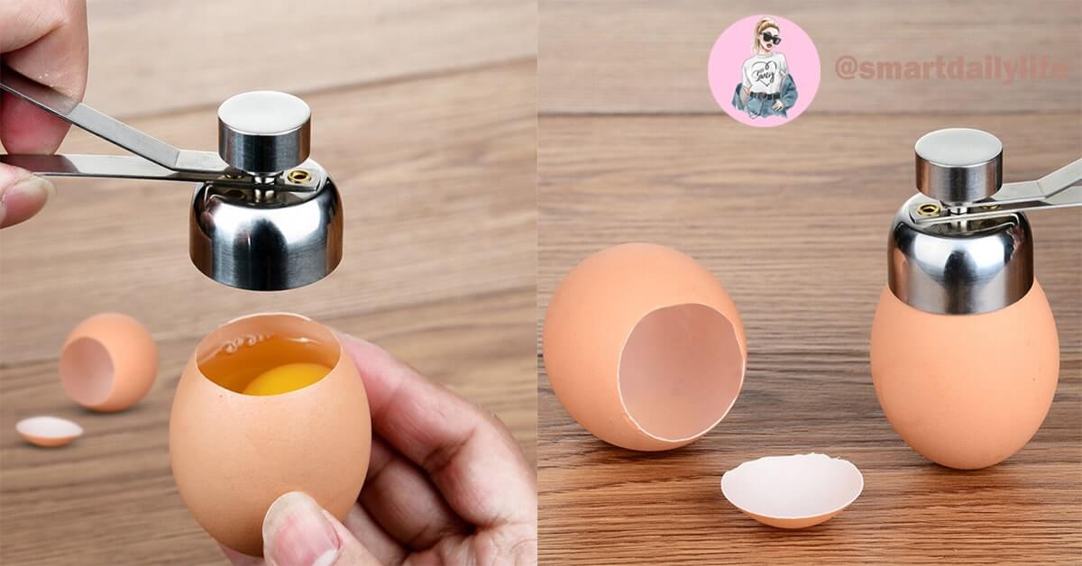 Egg Shell Cutter
